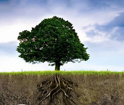 Recursos Multimedia para Scouters: Un proyecto compartido