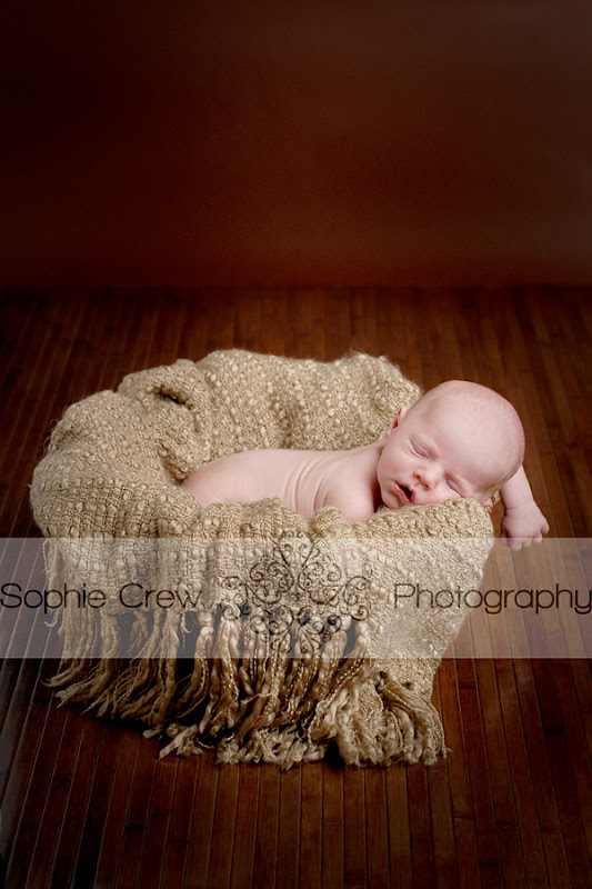 San Diego Newborn Photographer | Sophie Crew Photography