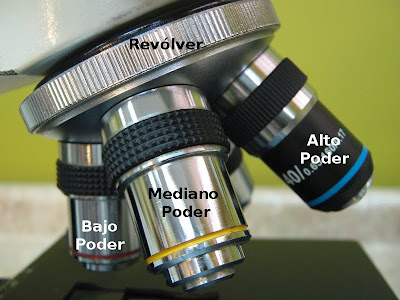Biología aplicada 2014-GRUPO 2: MICROSCOPIO
