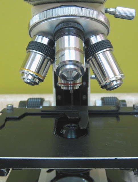 el Blog del Profe de Biolo: Método de trabajo del Microscopio en el ...