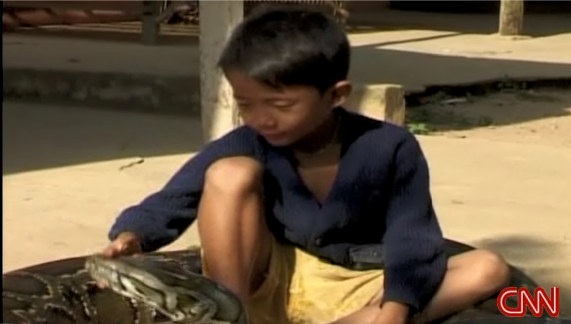 SuperForest: Snake Boy!