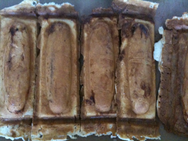 Regina on Top of the World: KC Waffle Dog and Sandboarding