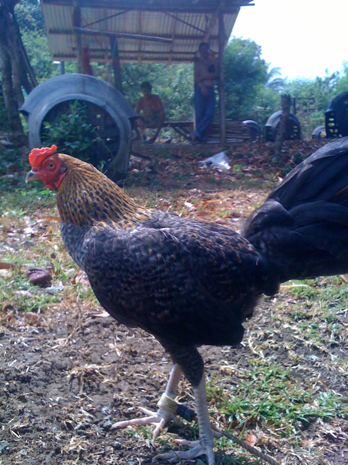 Team EbokAlaEh: May 2010