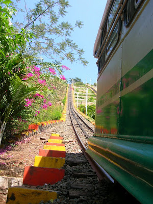 Travel Around Tamil Nadu: Palani Temple