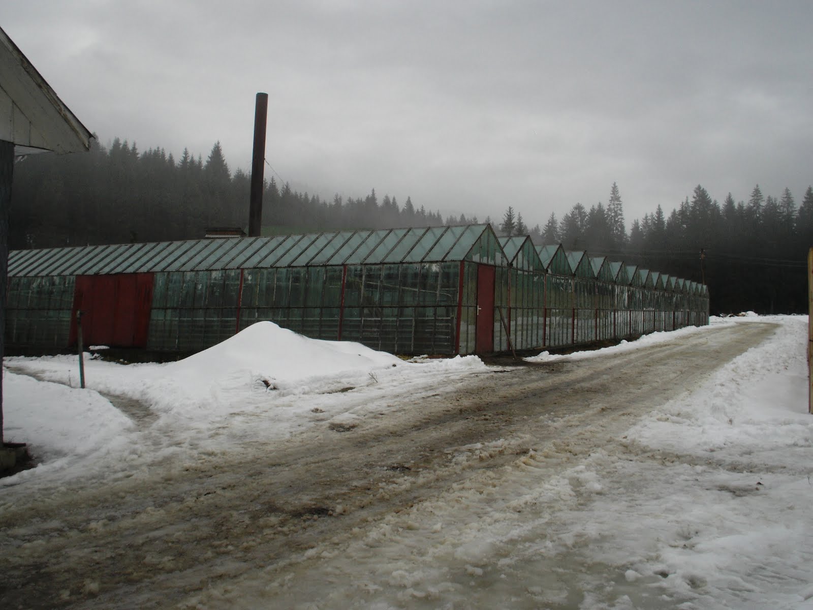 România privită altfel: Lunca Ilvei