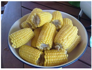 SUPER PARTY FOOD: Farm Party / Partytjie Plaas Tema