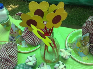 SUPER CELEBRATIONS: PLAAS PARTYTJIE / Farm Party