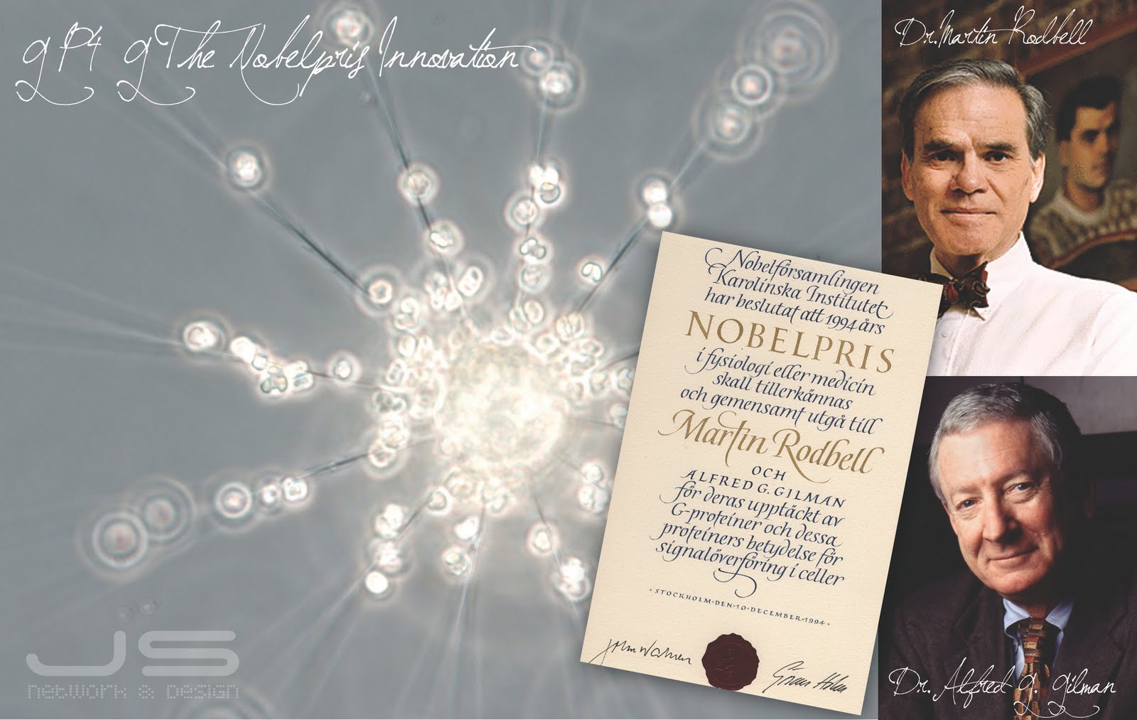 JS™ Network and Design: What is GP4G? Why we want it?