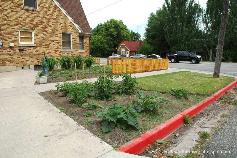 Backyard Farming: Adventures in FRONT yard farming