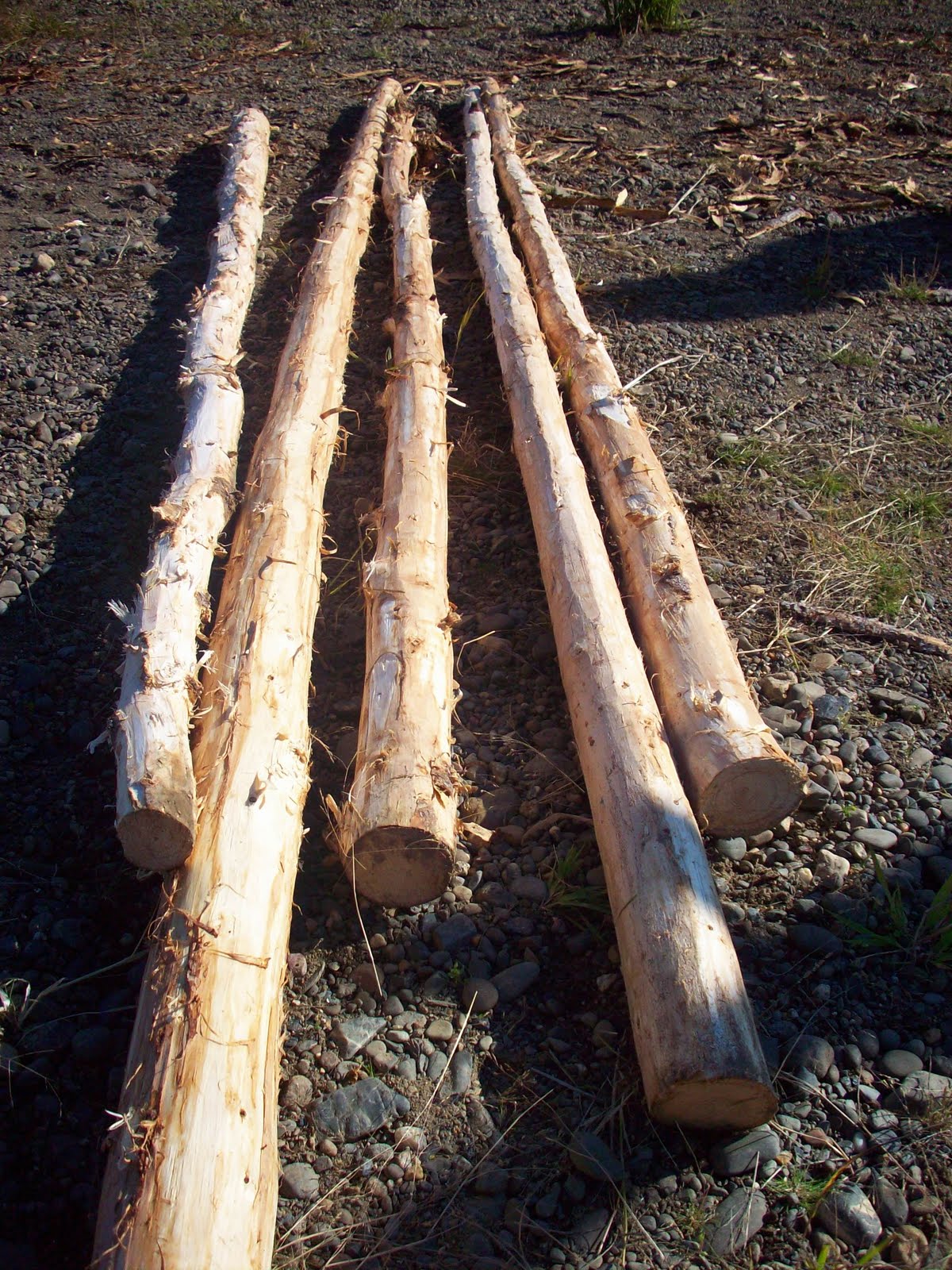 My Alaskan Adventure!