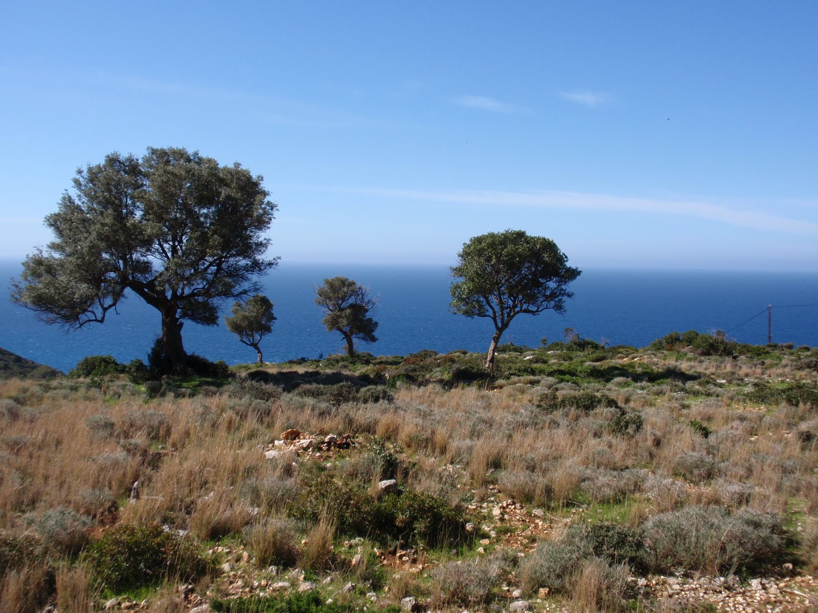 ΠΟΡΤΟ ΚΑΤΣΙΚΙ ΟΙΚΟΠΕΔΑ
