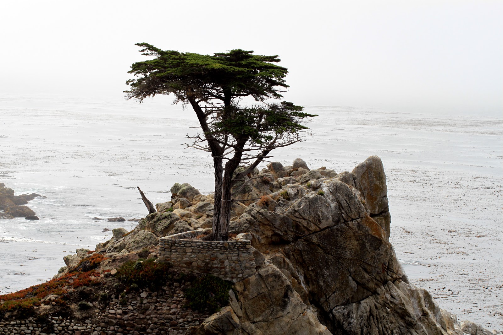 It's not about the destination...: Pacific Coast Highway and Monterey ...