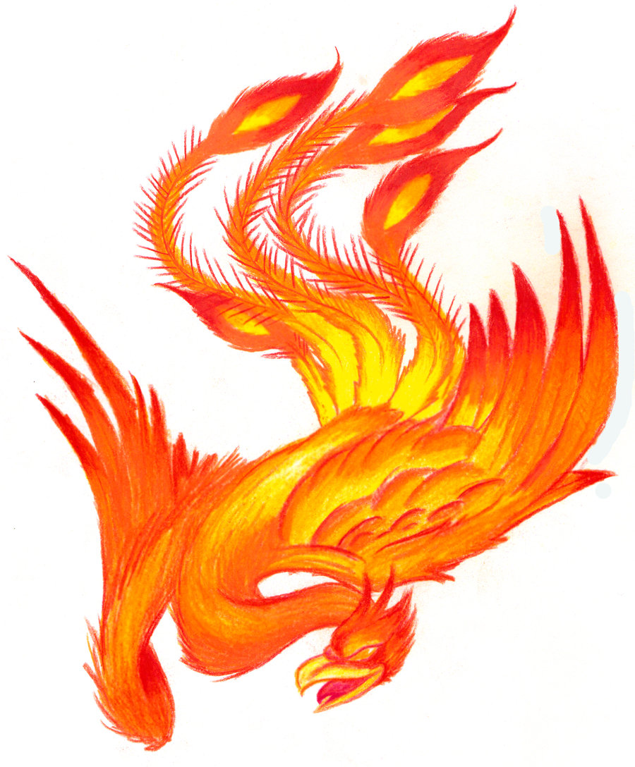 The Best Tattoo: Phoenix Japanese Tattoo
