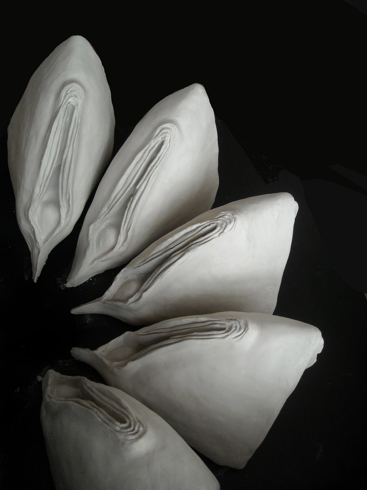 INTRUSO: Biomorphic shape # 1