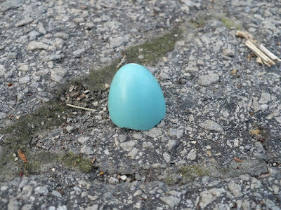 Beechwood Wetland Blog