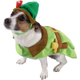 Medium Dog Blog: 10 Spooky But Super Cute Halloween Costumes For Medium ...