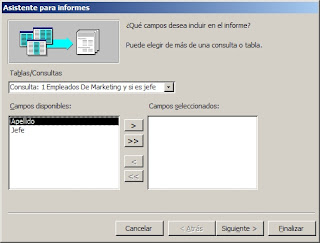 Experiencias: Hacer un Informe en Access con Asistente