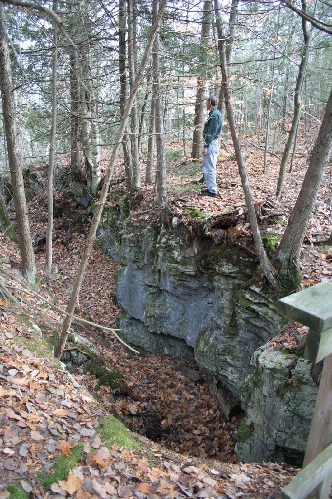 Birch Lodge Blog: Michigan Karst Conservancy's Fiborn Quarry