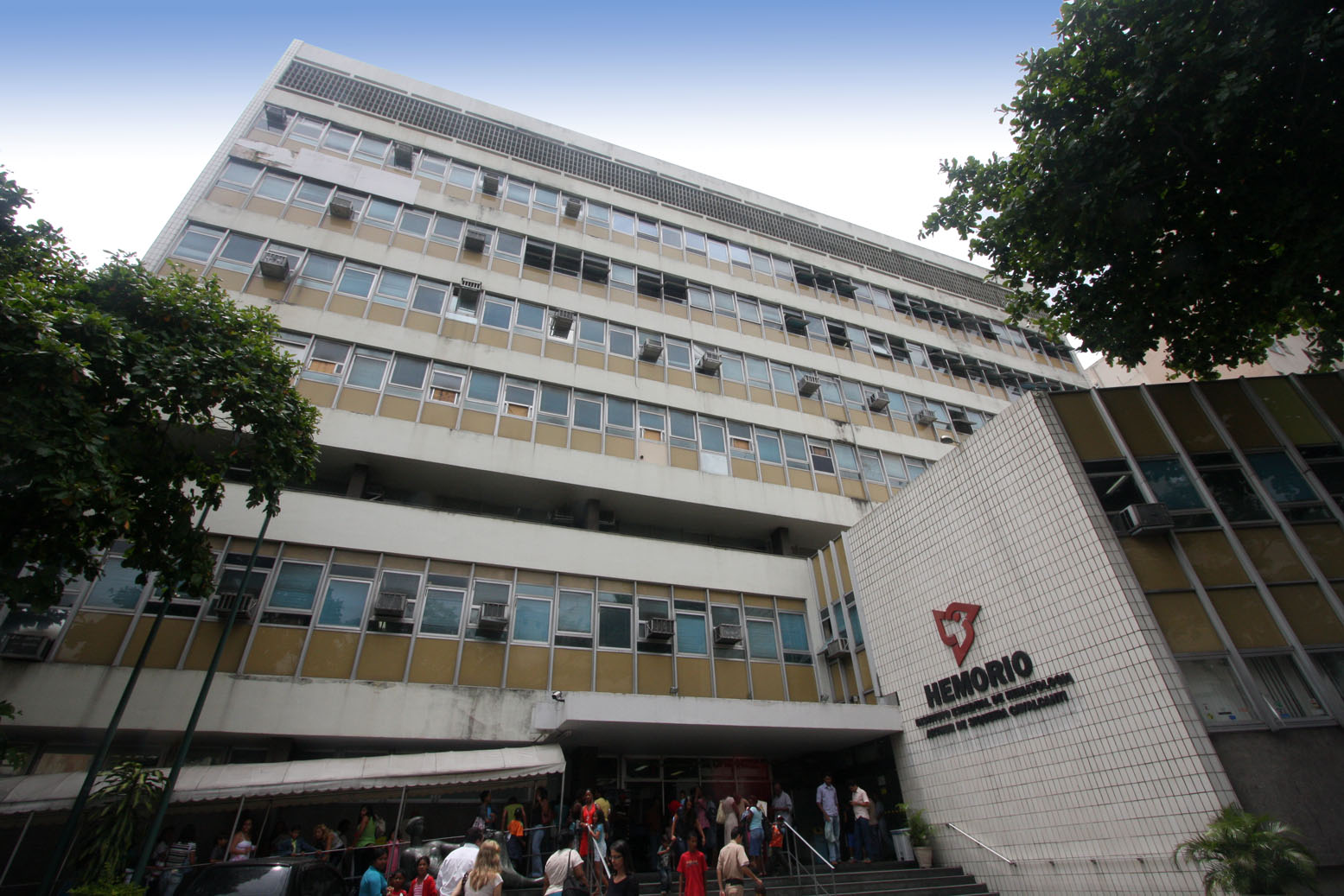 Café Virtual: Dia Nacional do Doador de Sangue objetiva atrair novos ...