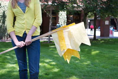 Meyer on the Wire: Pretty Flags DIY