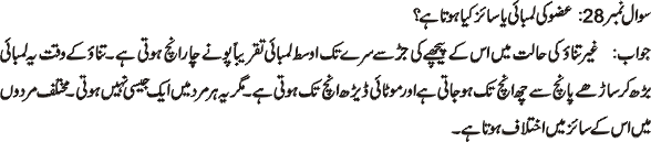 What is normal Length of Lun? - Urdu Marriage Tips, Dating Tips ...