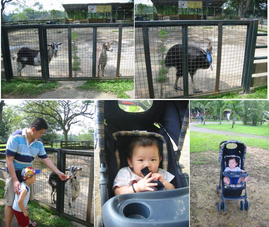~ The Animal Resort ~ | BPDGTravels - Building Memories Together