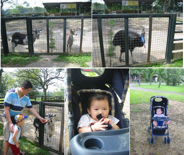 ~ The Animal Resort ~ | BPDGTravels - Building Memories Together