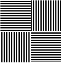 WHAT HUMANS DO: OPTICAL ILLUSIONS