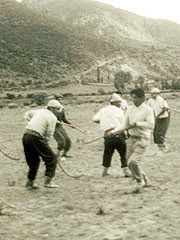 Tribus de America: MAPUCHES