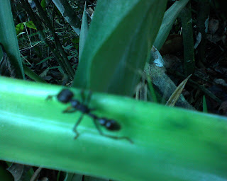 Pesca en Cochabamba, Robbie Quiroz: Jusk'u rumi, un paraiso para bañarse