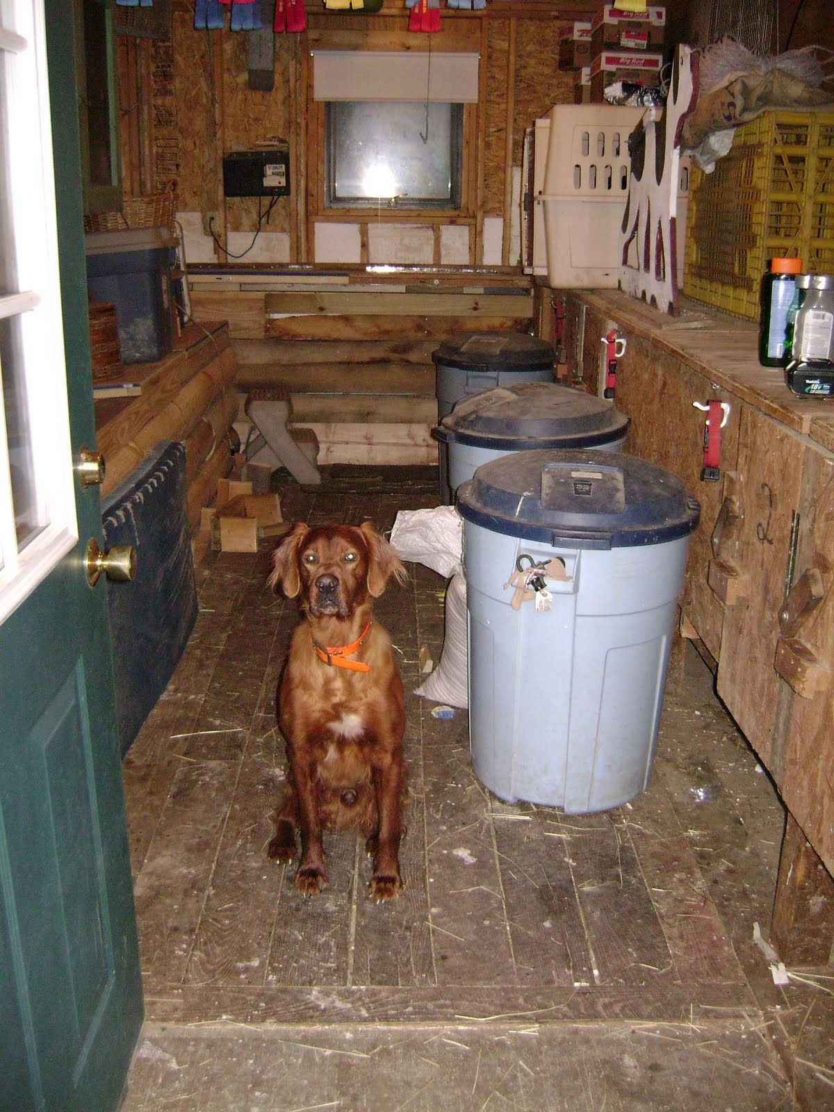 A piece of the Purest Challenge: The Life of Finn McCool