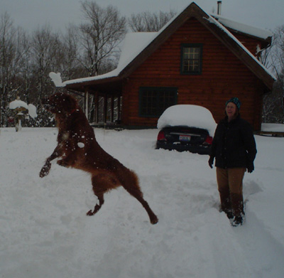 A piece of the Purest Challenge: The Life of Finn McCool