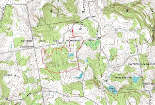 No Rocking Chair for Me: XC Skiing - Partridge Run Wildlife Management Area