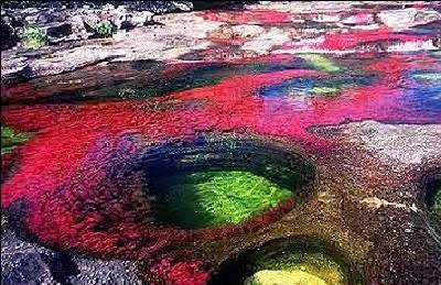 sitios turisticos de colombia: Caño Cristales el Rios de los 7 Colores