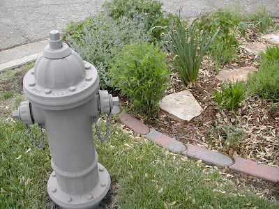 A Corner Garden: Fire Hydrant