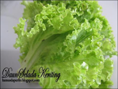 KAMUS DAPURKU: Daun Selada Keriting