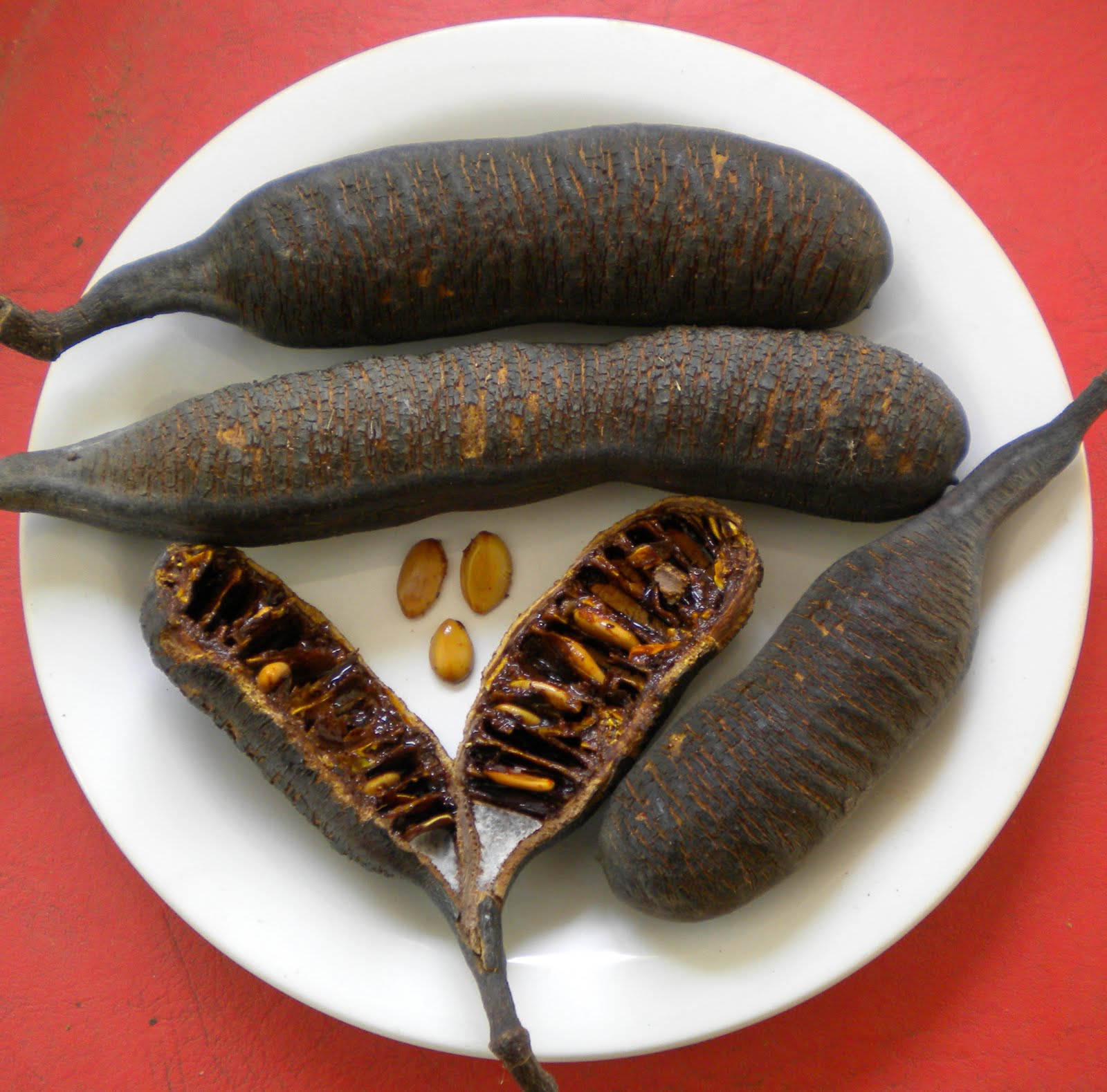 v e r d e c h a c o: julio 2010