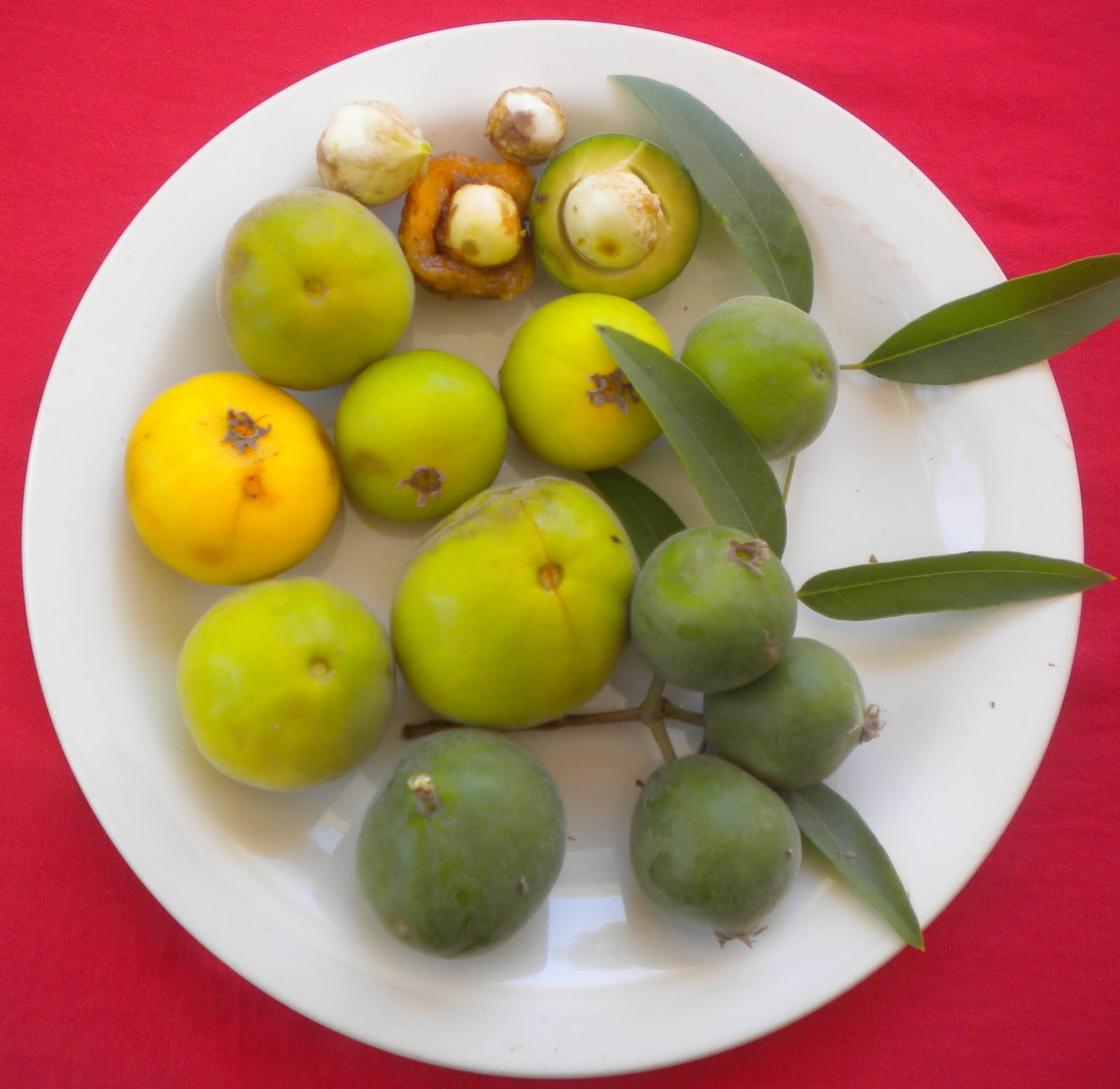 v e r d e c h a c o: Ubajay