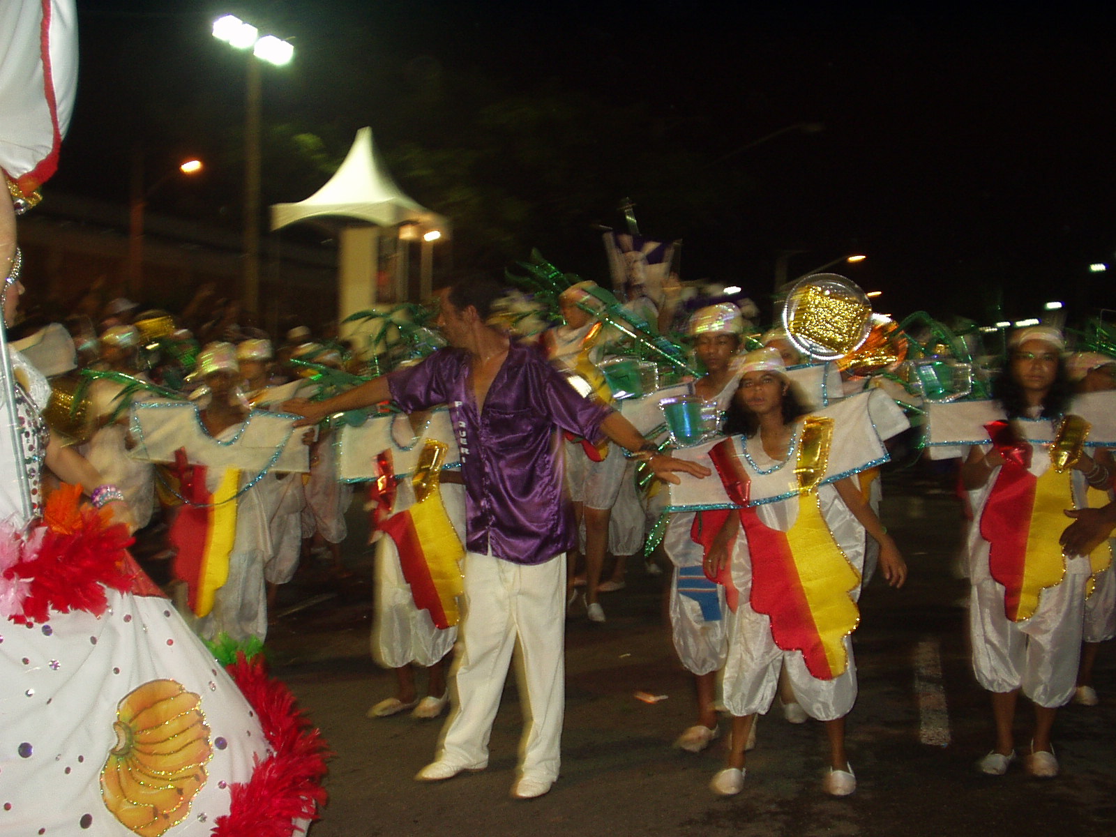 A LUA ROXA DO SAMBA: Imagens do Desfile do Caprichosos do Piqueri no ...