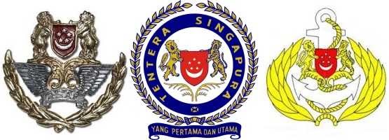 Magic of the SAF Crest