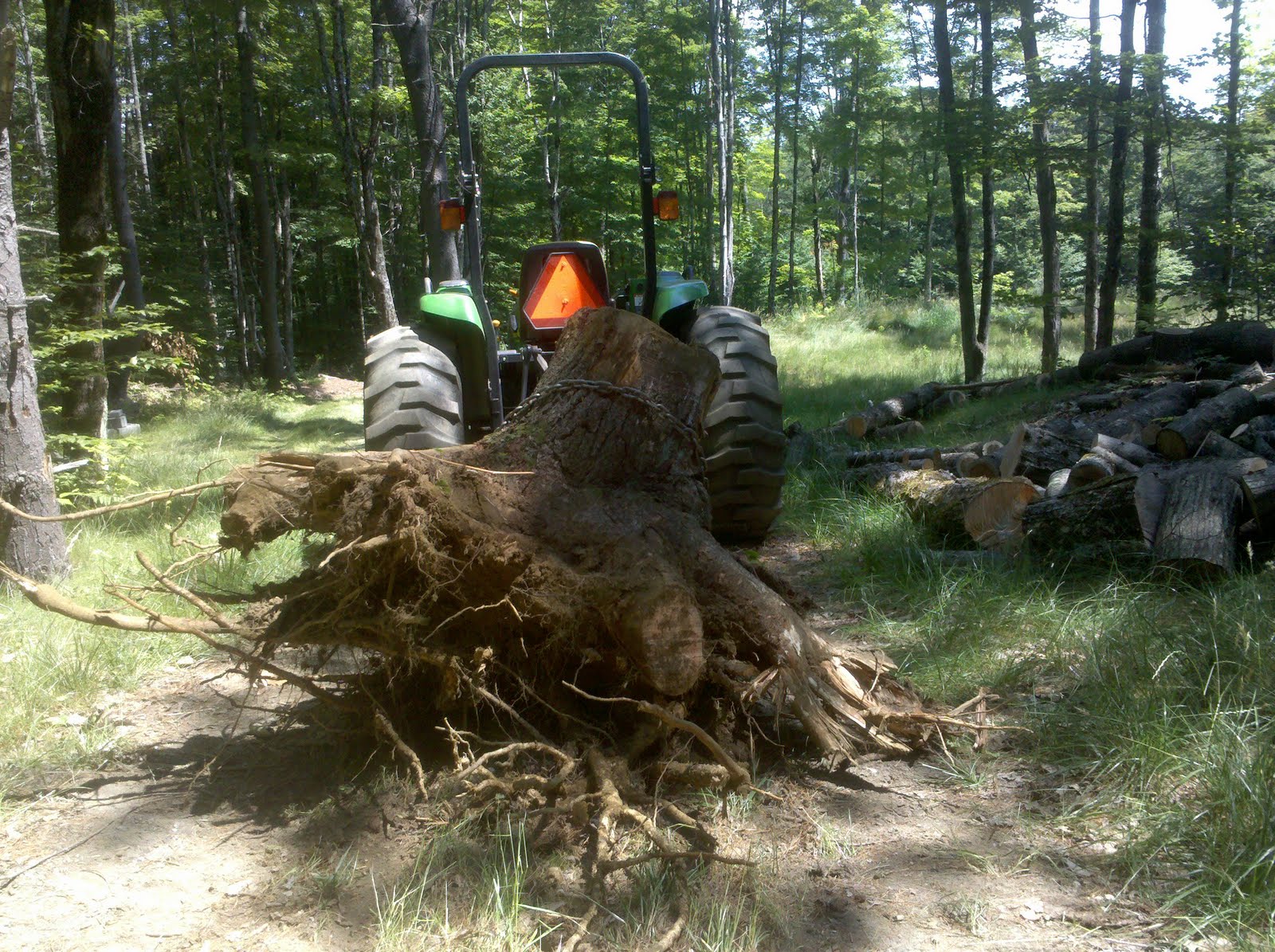 Proud Hands: Stump Pulling