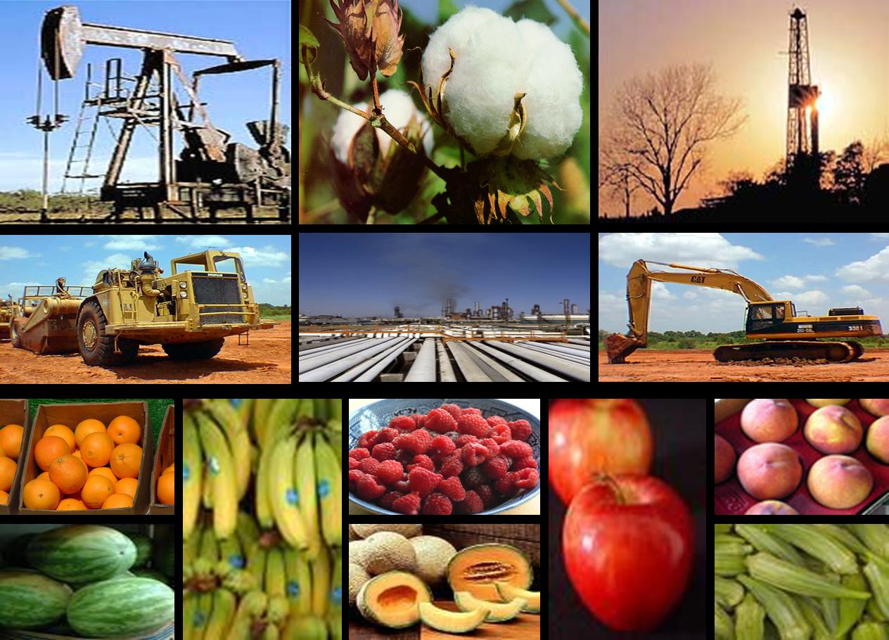 Economia: El proceso productivo