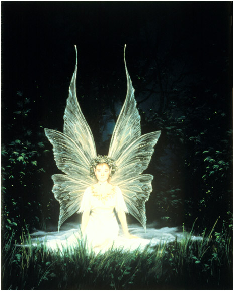 A PARTIR DE TODO: LA MUJER QUE FUE UN GUSANO,UN HADA Y UN PUMA