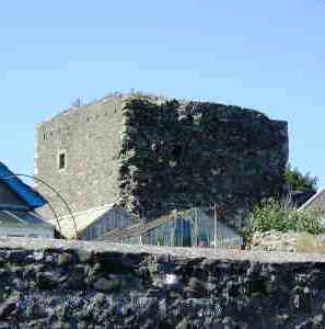 Steinbeck's Redemption: The Big Picture: Eslers and the 'Scotch' Cattle ...