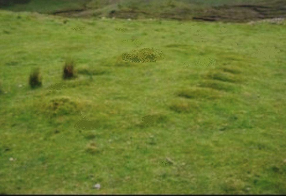 Steinbeck's Redemption: Booley huts and booleying on the Commons