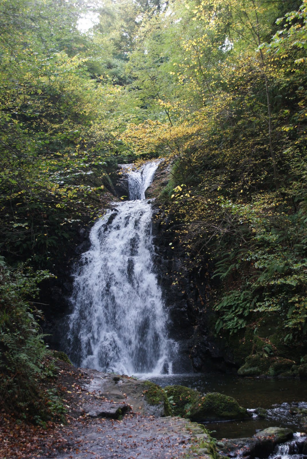 Steinbeck's Redemption: Booley huts and booleying on the Commons