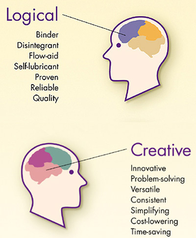 The Music and Its Life: The Function of Music