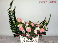 FLORA: November 2009