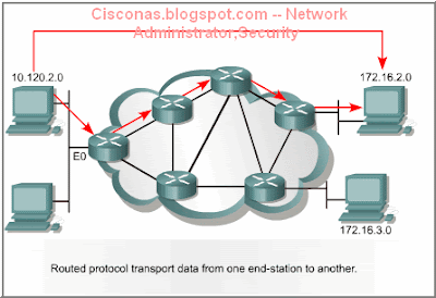 Network Administrator Network Security: IP Routing Protocols