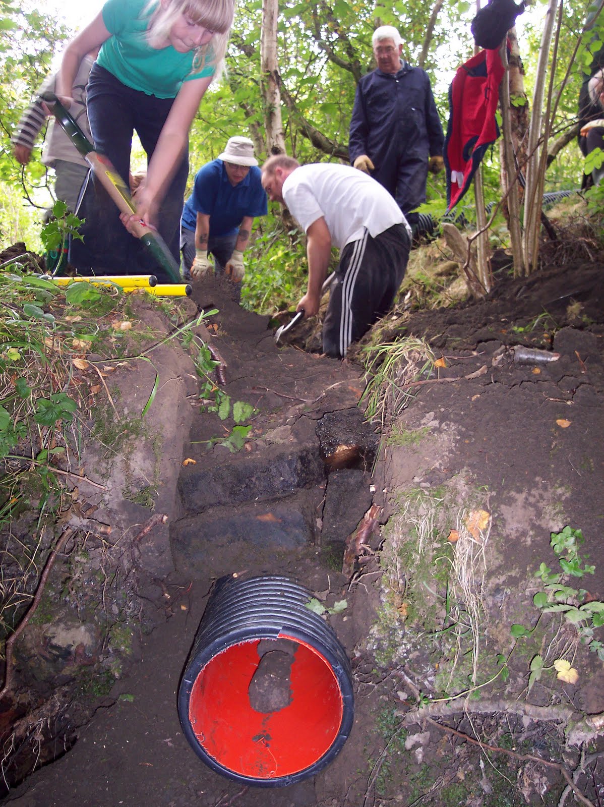 The Pilot Post: Fruit Of Labours